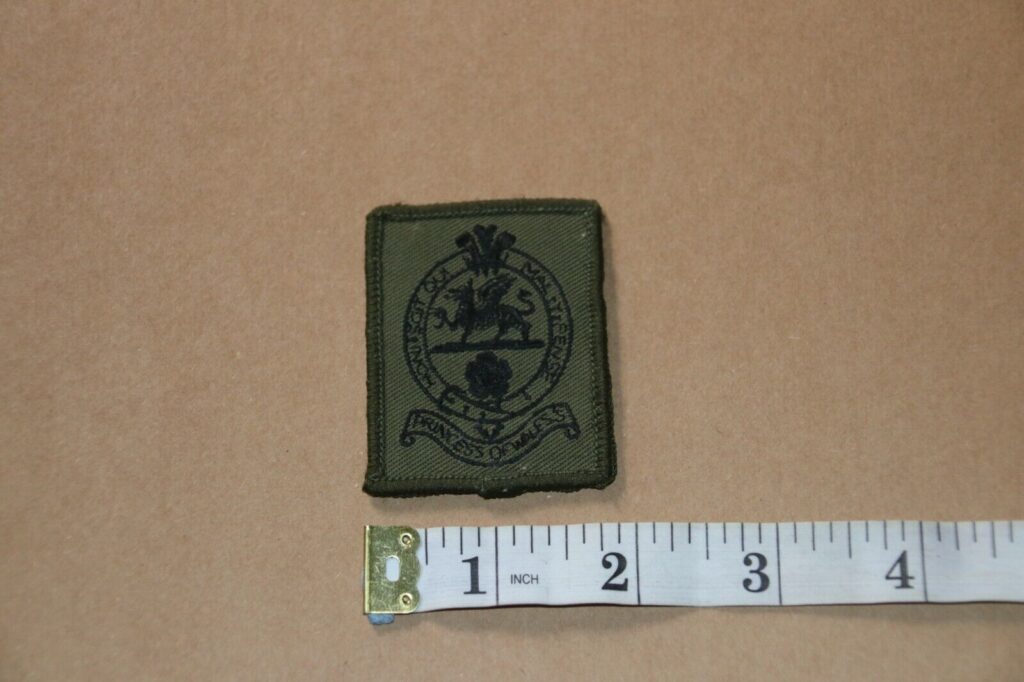 BRITISH ARMY PWRR PRINCESS WALES'S OWN ROYAL REGIMENT BERET BADGE ...