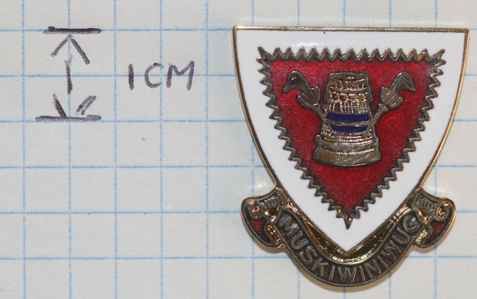 US ARMY WWII TYPE 326TH MEDICAL BATTALION 101ST AIRBORNE CREST DI - AB ...